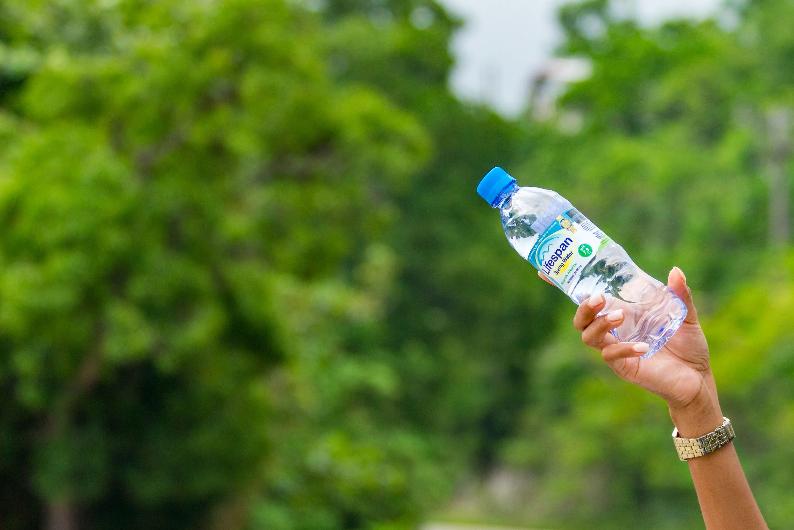 Lifespan Spring Water Products