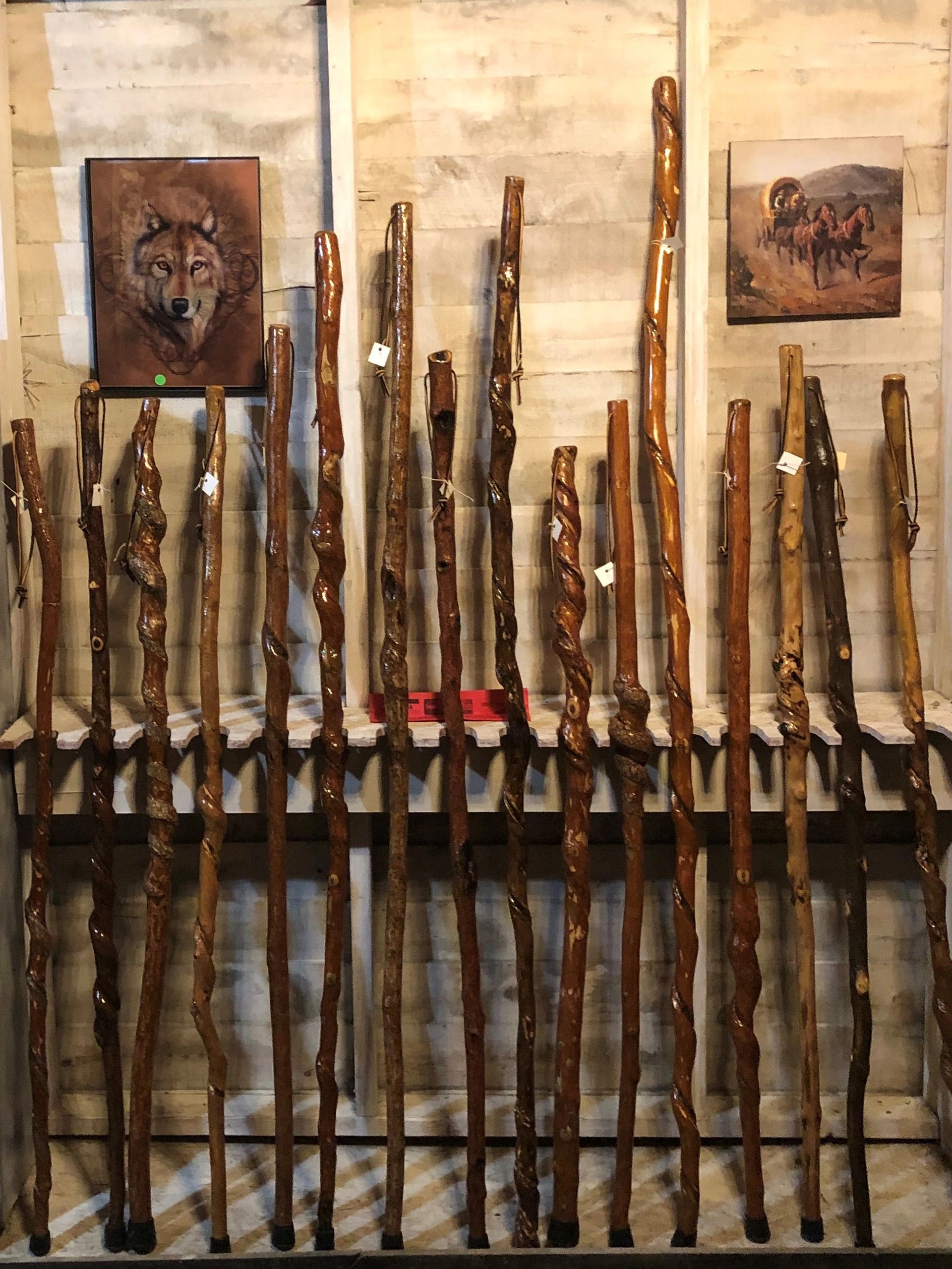 Walking Sticks n Brooms