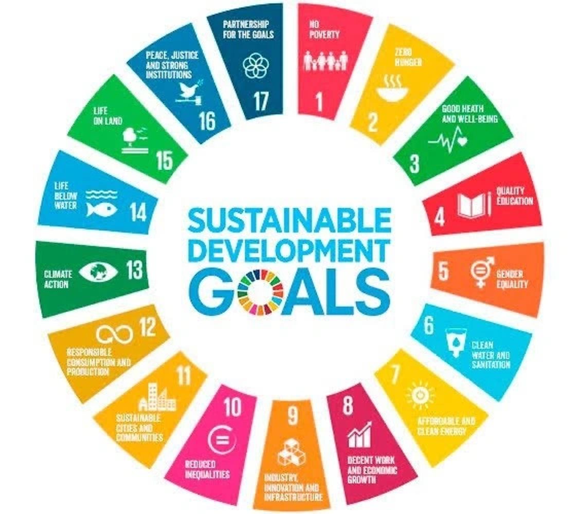 SusTRAINability Development Global (SDG) - Sustainability, UNDP ...