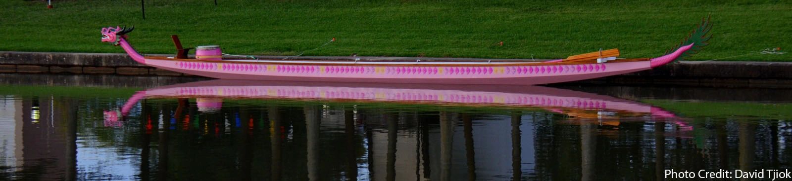 Events | Pink Phurree Breast Cancer Survivor Dragon Boat Team