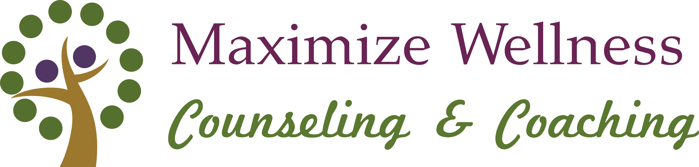 Psychotherapy Services at Maximize Wellness Counseling Center