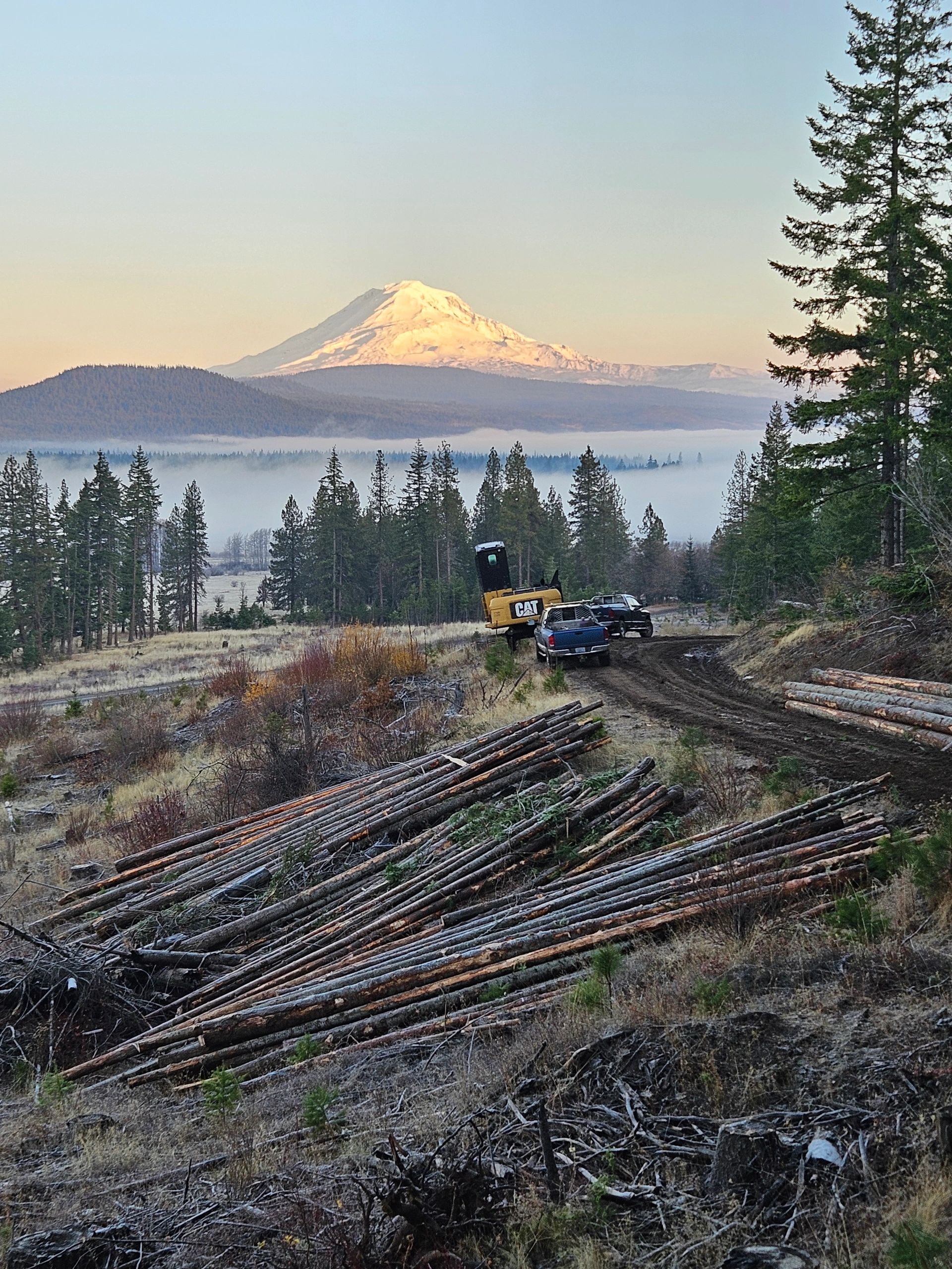 Lee Levanen Logging LLC