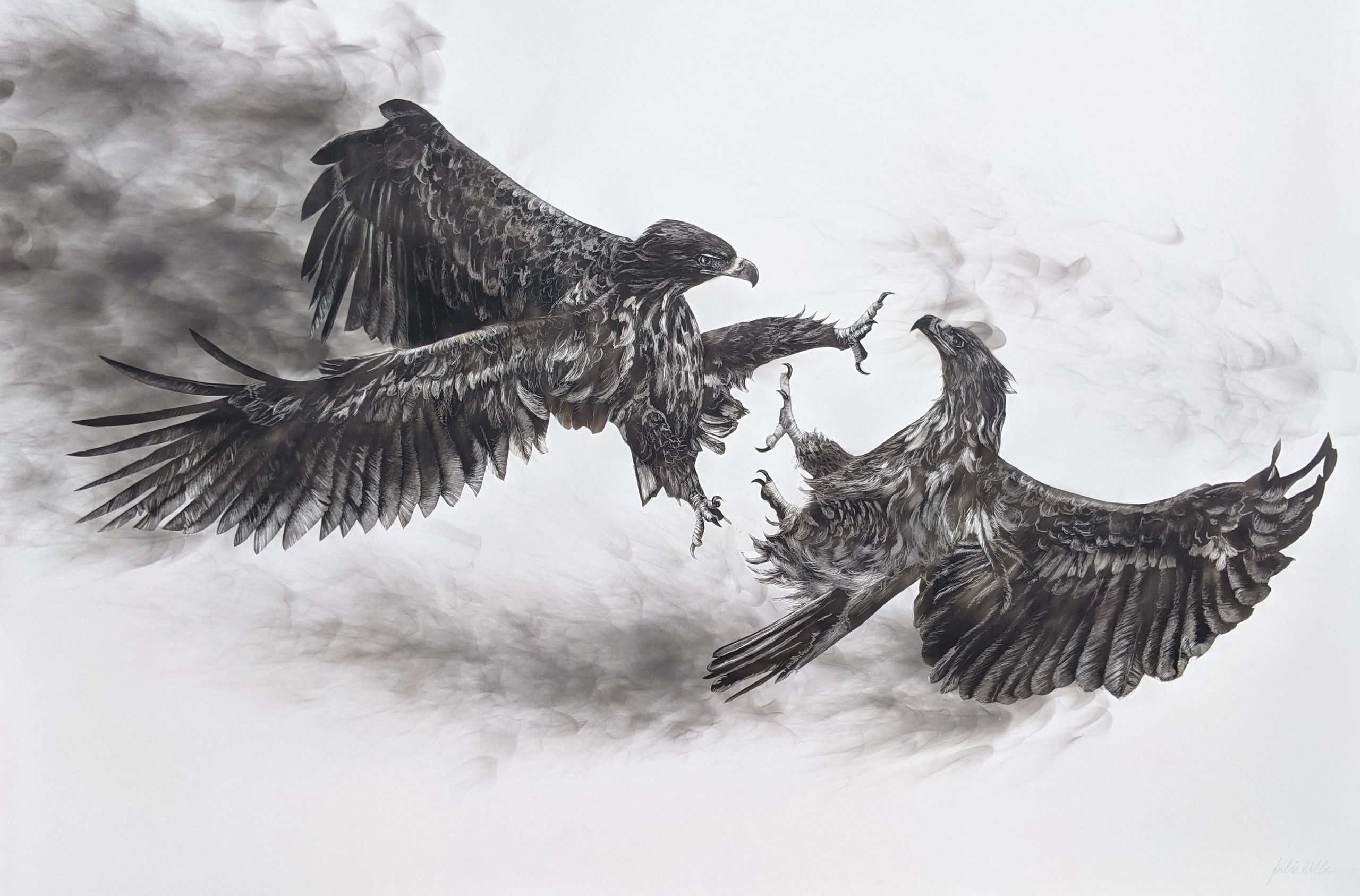 Julie Willan - Fumage Art, Artist, Wildlife Art