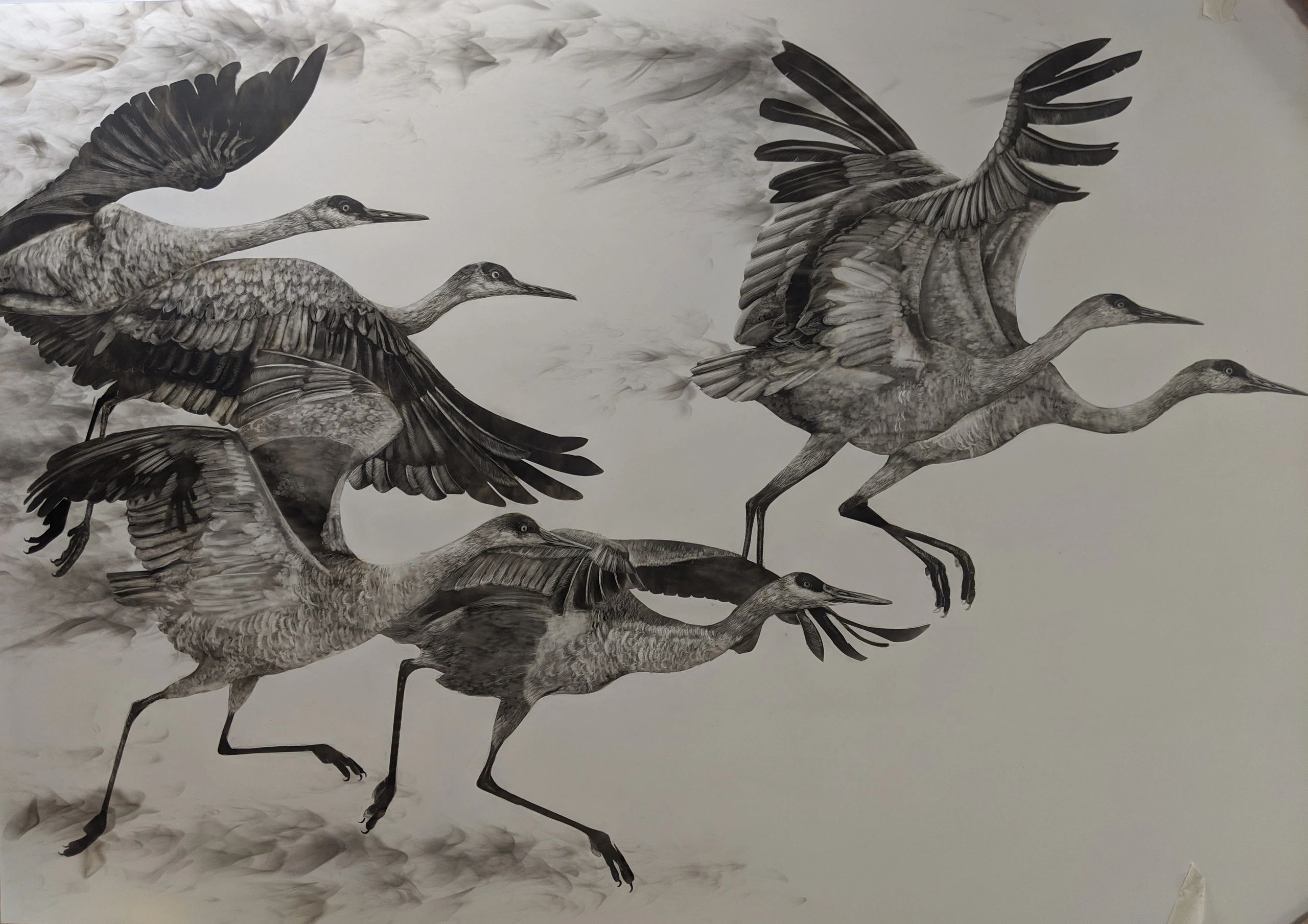 Julie Willan - Fumage Art, Wildlife Art