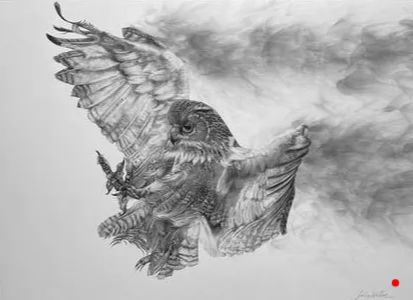 Julie Willan - Fumage Art, Wildlife Artist, Wildlife drawings, Black ...