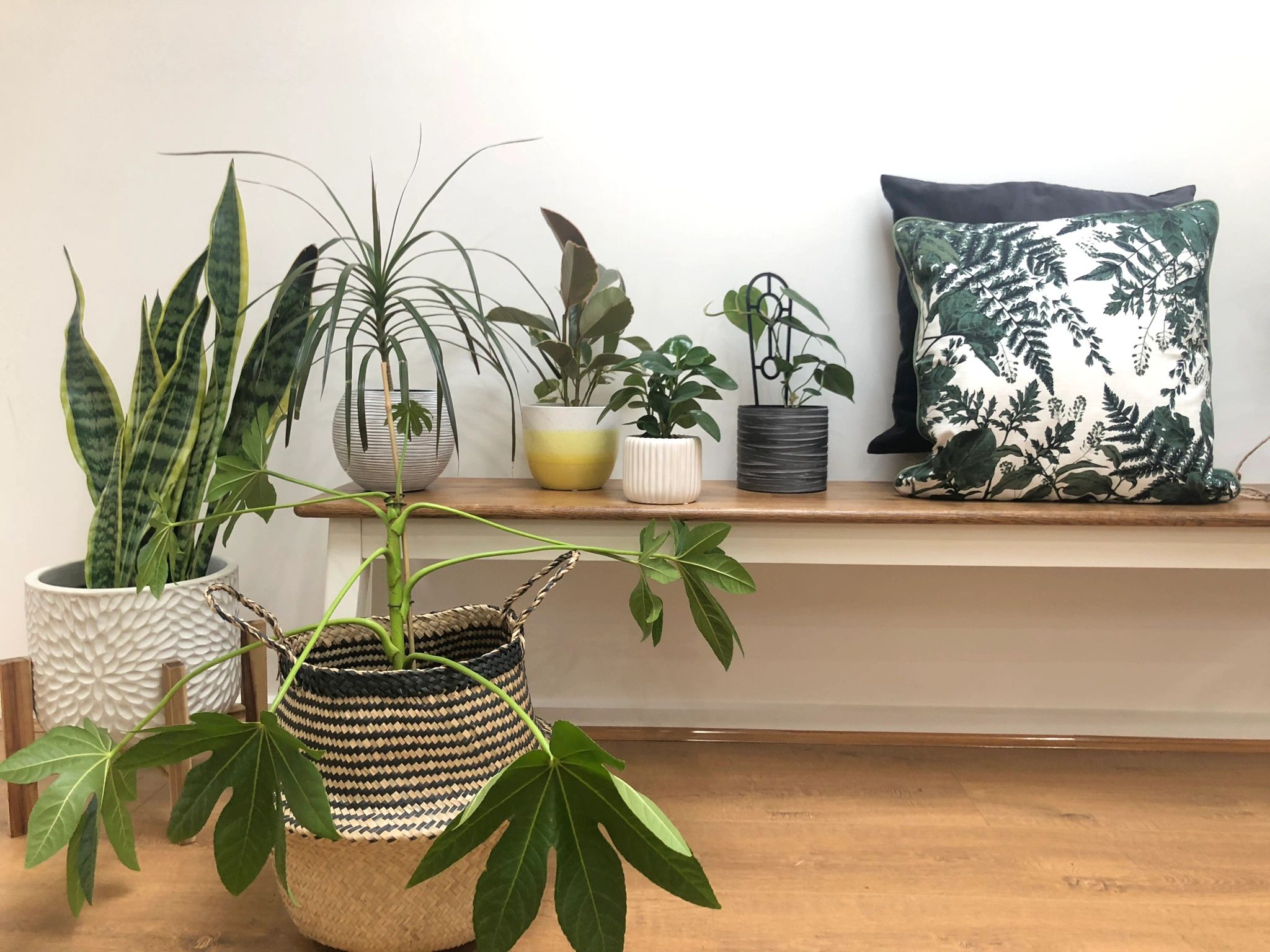 Mountain Rest Accommodation