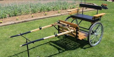 Mini Carts | Sunrise Pony Farm