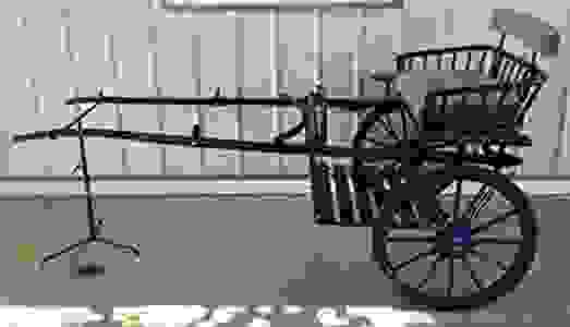 Mini Carts | Sunrise Pony Farm