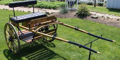 Mini Carts | Sunrise Pony Farm