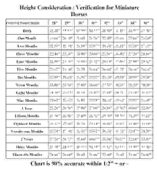 Harness Measurement | Sunrise Pony Farm