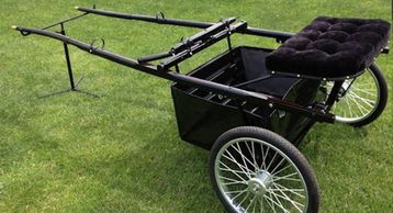 Mini Carts | Sunrise Pony Farm