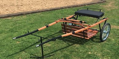 Mini Carts | Sunrise Pony Farm