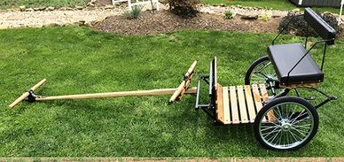 Mini Carts | Sunrise Pony Farm