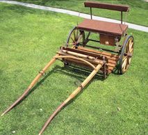 Mini Carts | Sunrise Pony Farm