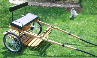 Mini Carts | Sunrise Pony Farm