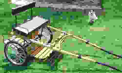 Mini Carts | Sunrise Pony Farm