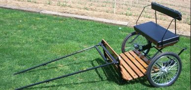 Mini Carts | Sunrise Pony Farm