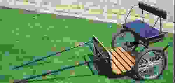 Mini Carts | Sunrise Pony Farm