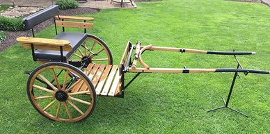 Mini Carts | Sunrise Pony Farm