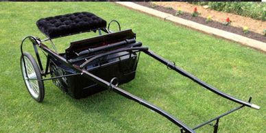 Mini Carts | Sunrise Pony Farm