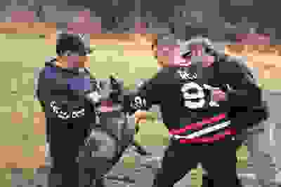 K9 Decoy Instruction - K9unlimited | k9unlimited