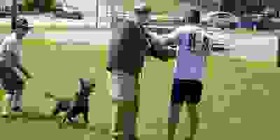 K9 Decoy Instruction - K9unlimited | k9unlimited