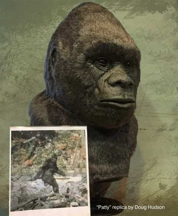 Realistic Bigfoot Costume - Bigfoot, Bigfoot Replica