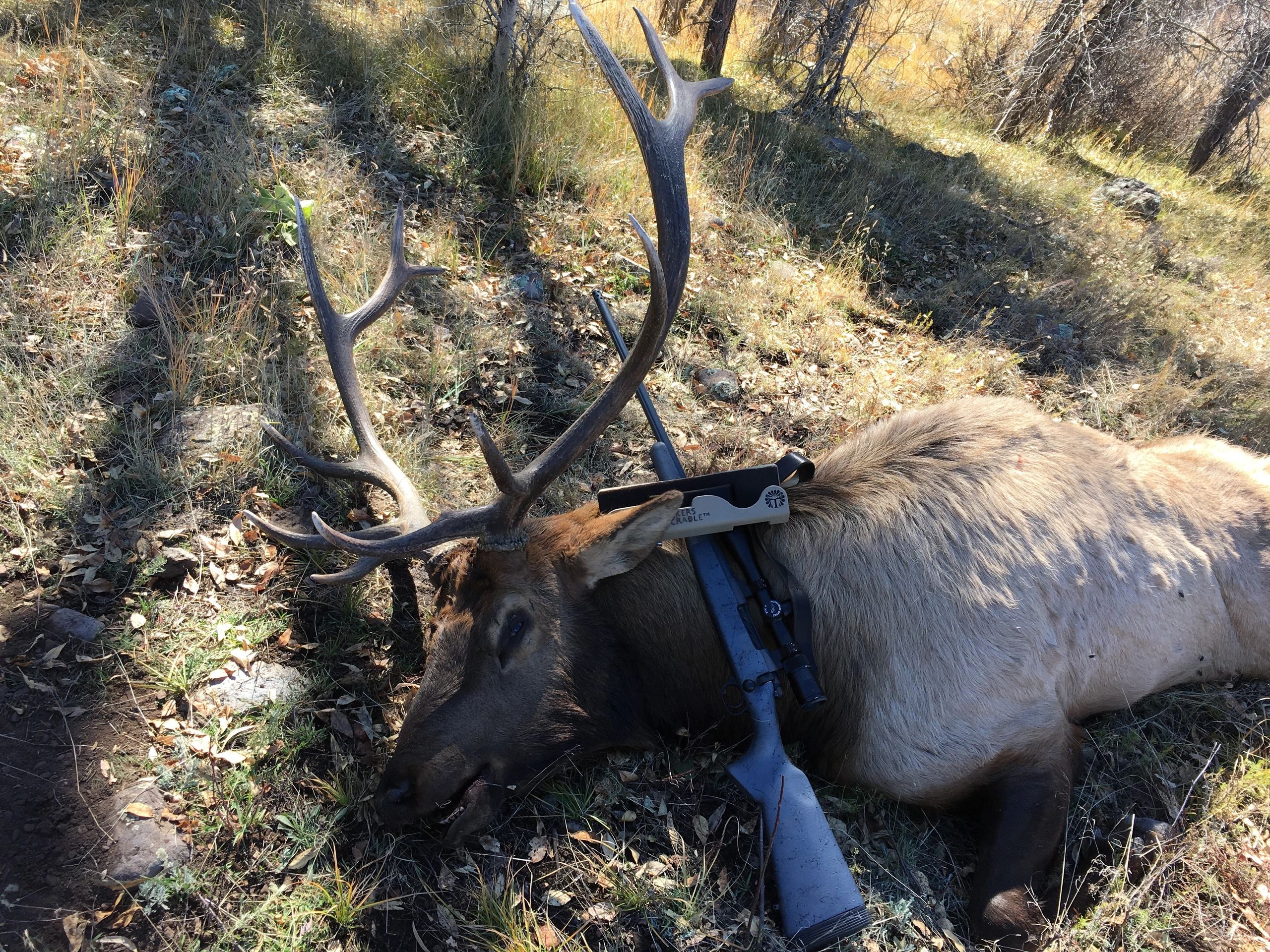 GOT Pursuit LLC- Home