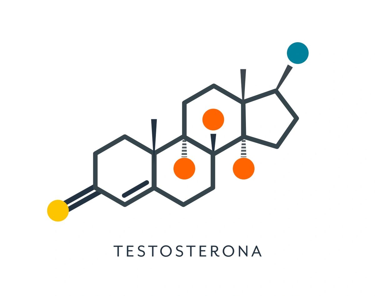 Testosterona Total
