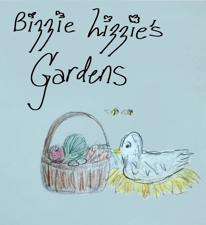Bizzy Lizzie Gardens