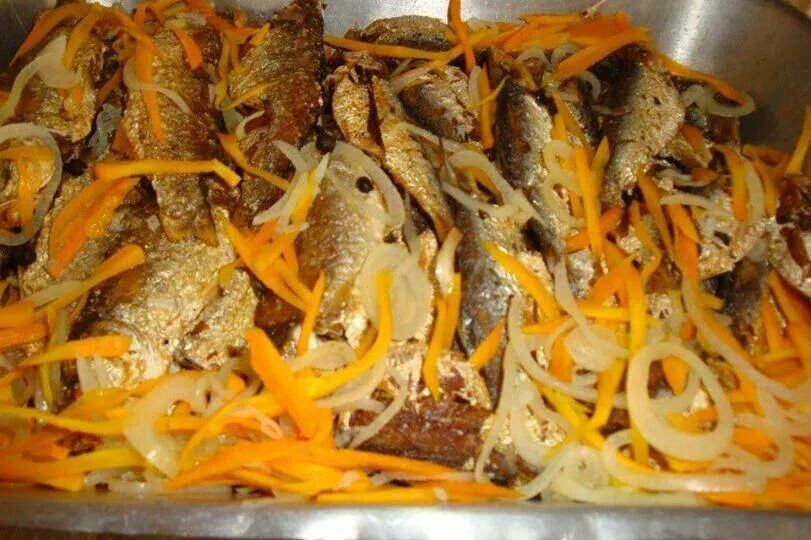 Jamaican Sprat Fish