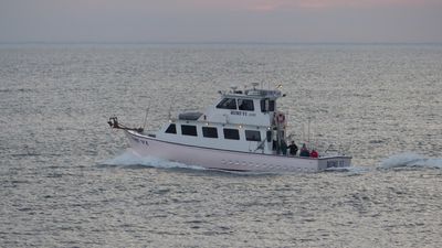 Mimi VI - Deep Sea Fishing, Fishing Charter, River Cruise