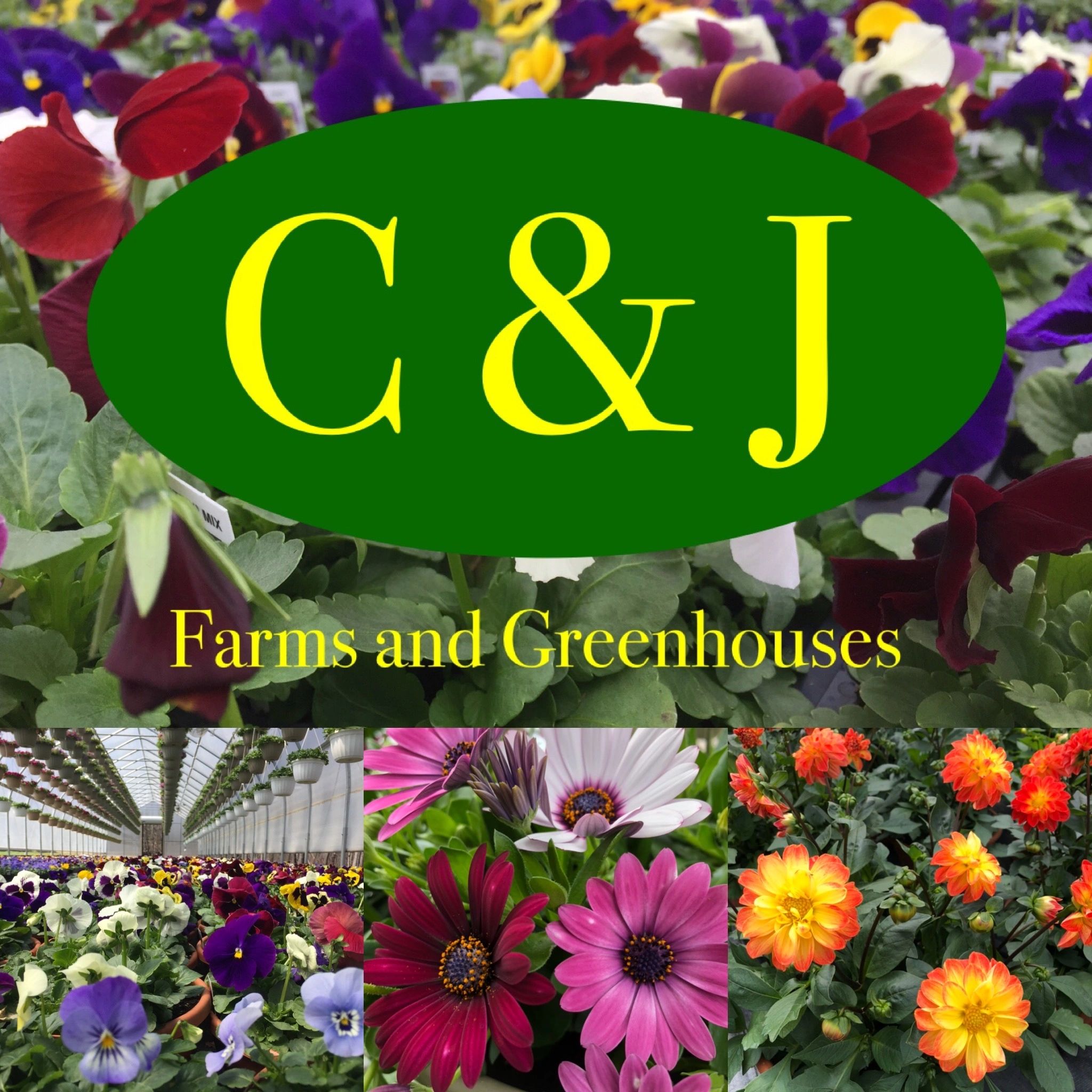 C & J Farms and Greenhouses - Garden Center, Plant Nursery