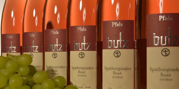 Sommelier - Weinproben - Der erste Bio Sommelier