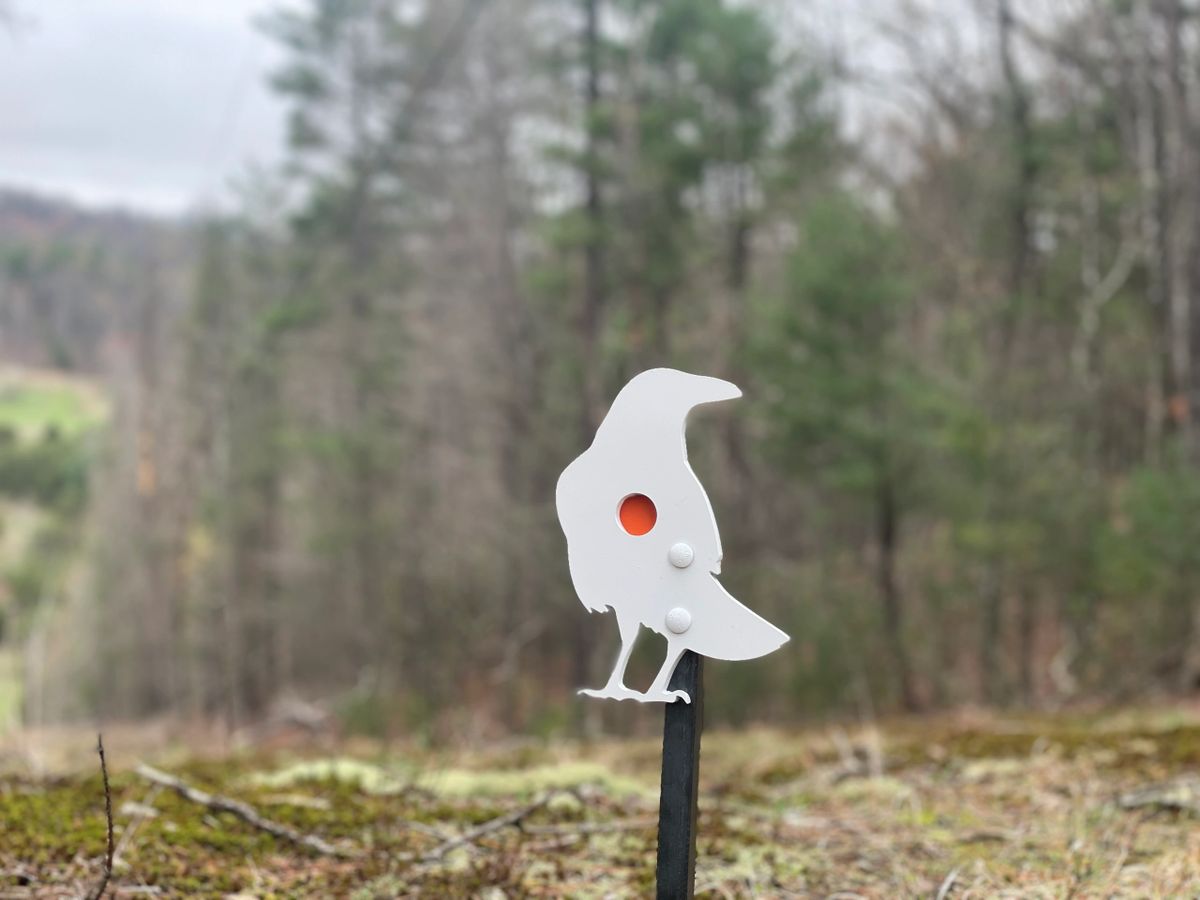 DEAD NUTS CACKLING CROW