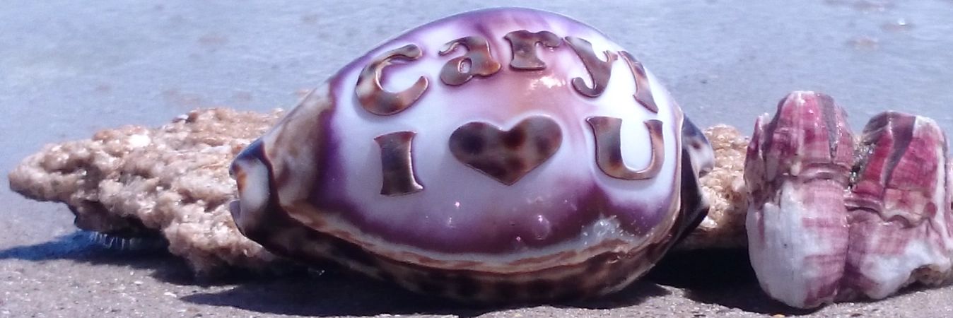 Names on Shells - Say It On A Shell - Engraved Seashells