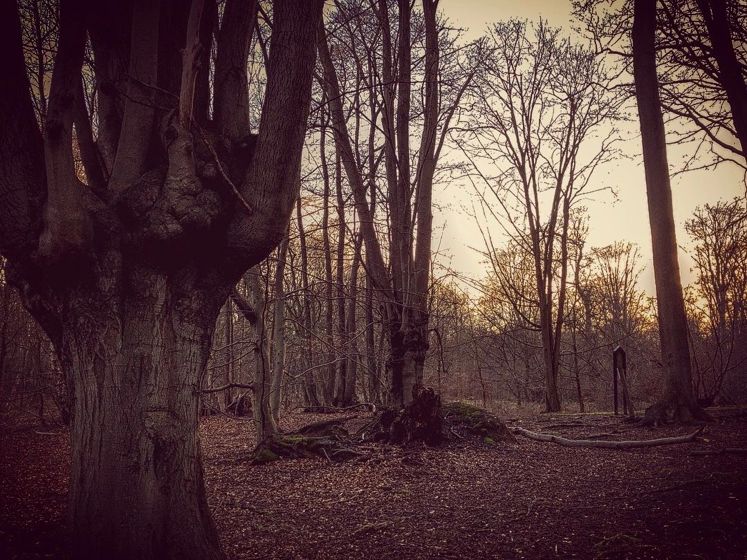 Albion Grove - Pagan Art, Handcarved Bone, Bone Jewelry, Pagan Art