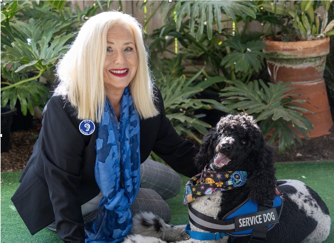 Barnes Communication Solutions