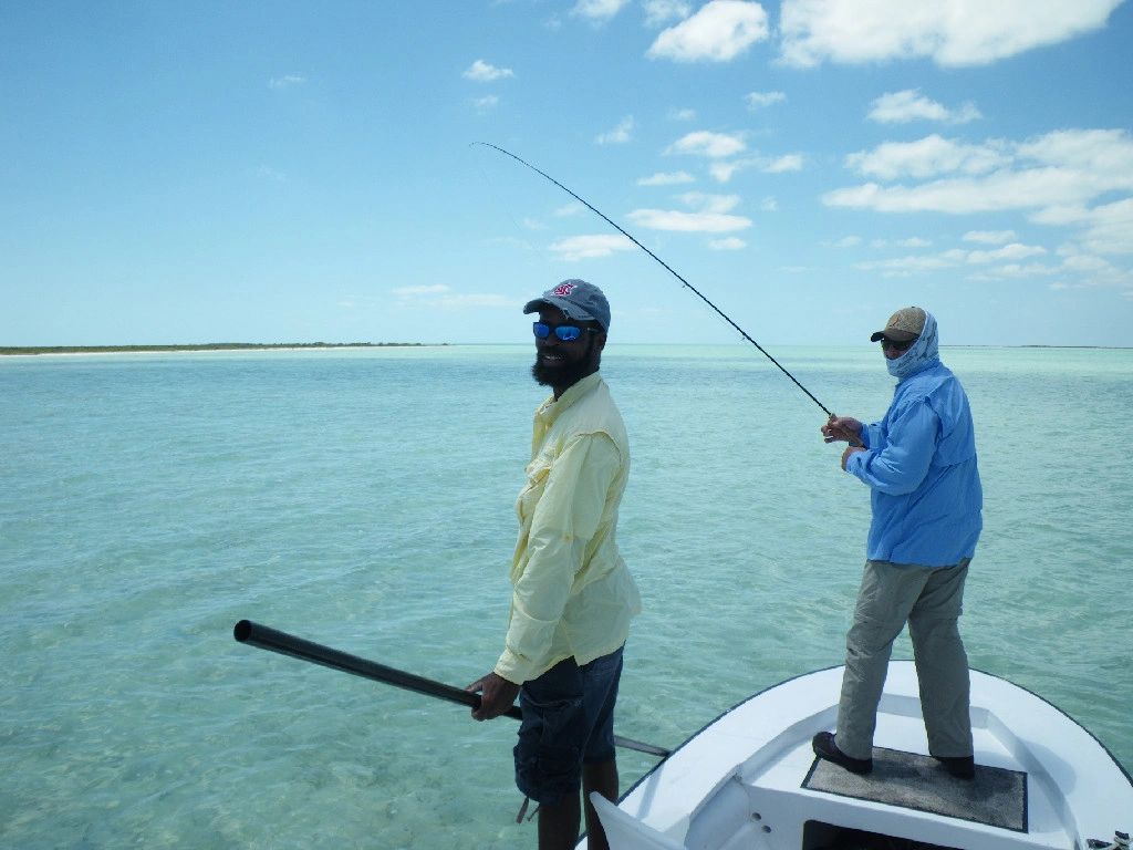 [Home] [acklins.com]