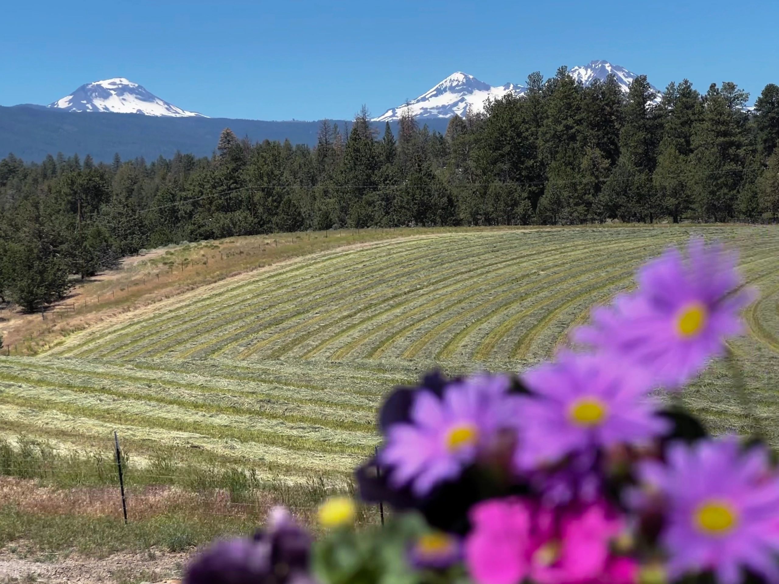 Central Oregon Hay Growers