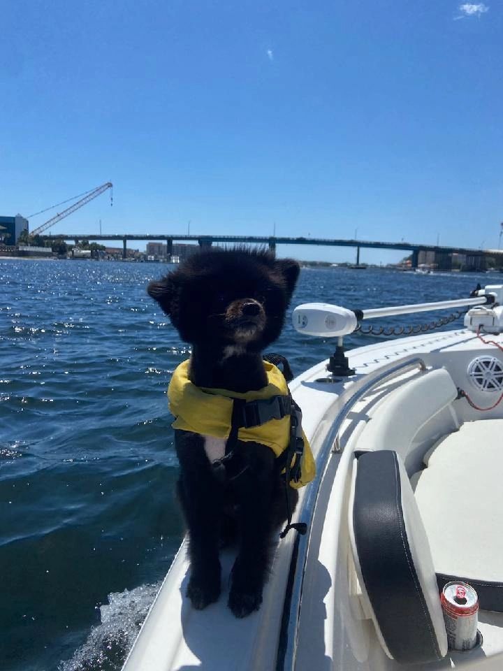 Boat Charters, Sunset Cruise, Boat Tours - Seas The Day Destiny - Fort ...