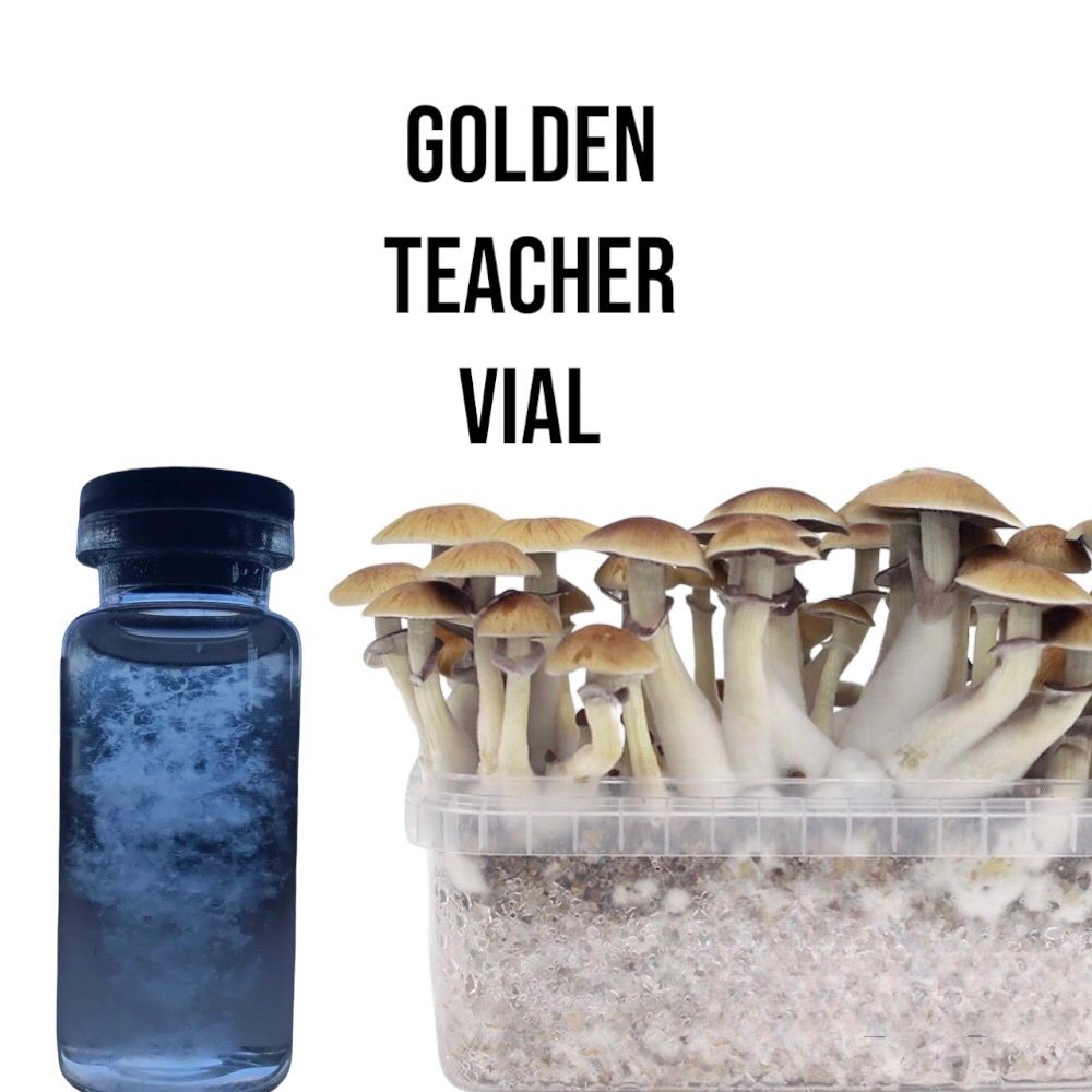 Golden Teacher Vial