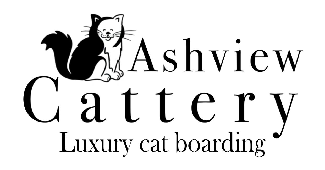 Terms And Conditions | Ashview Cattery