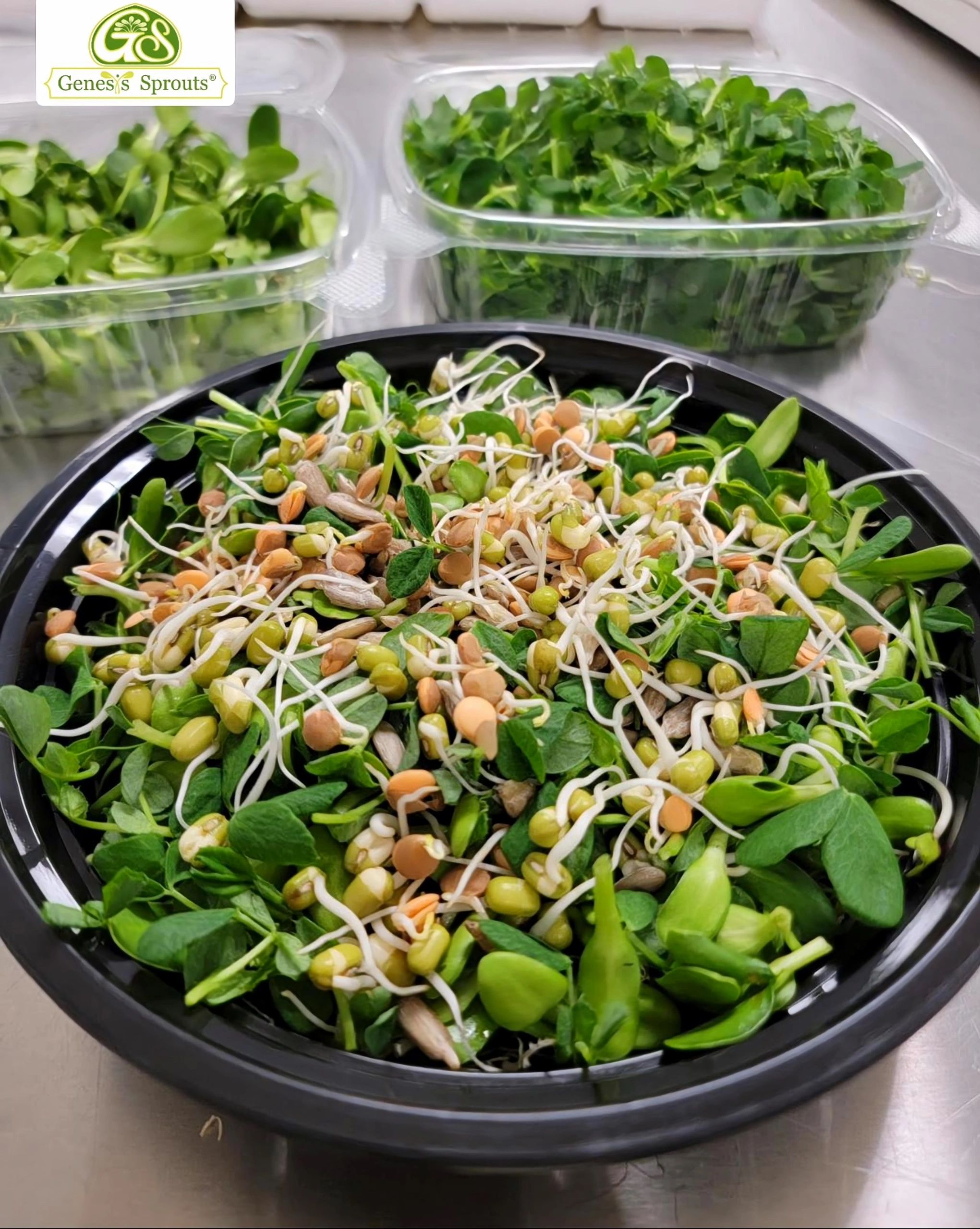 genesissprouts.com - Sprouts Grower, Organic Fresh Sprouts