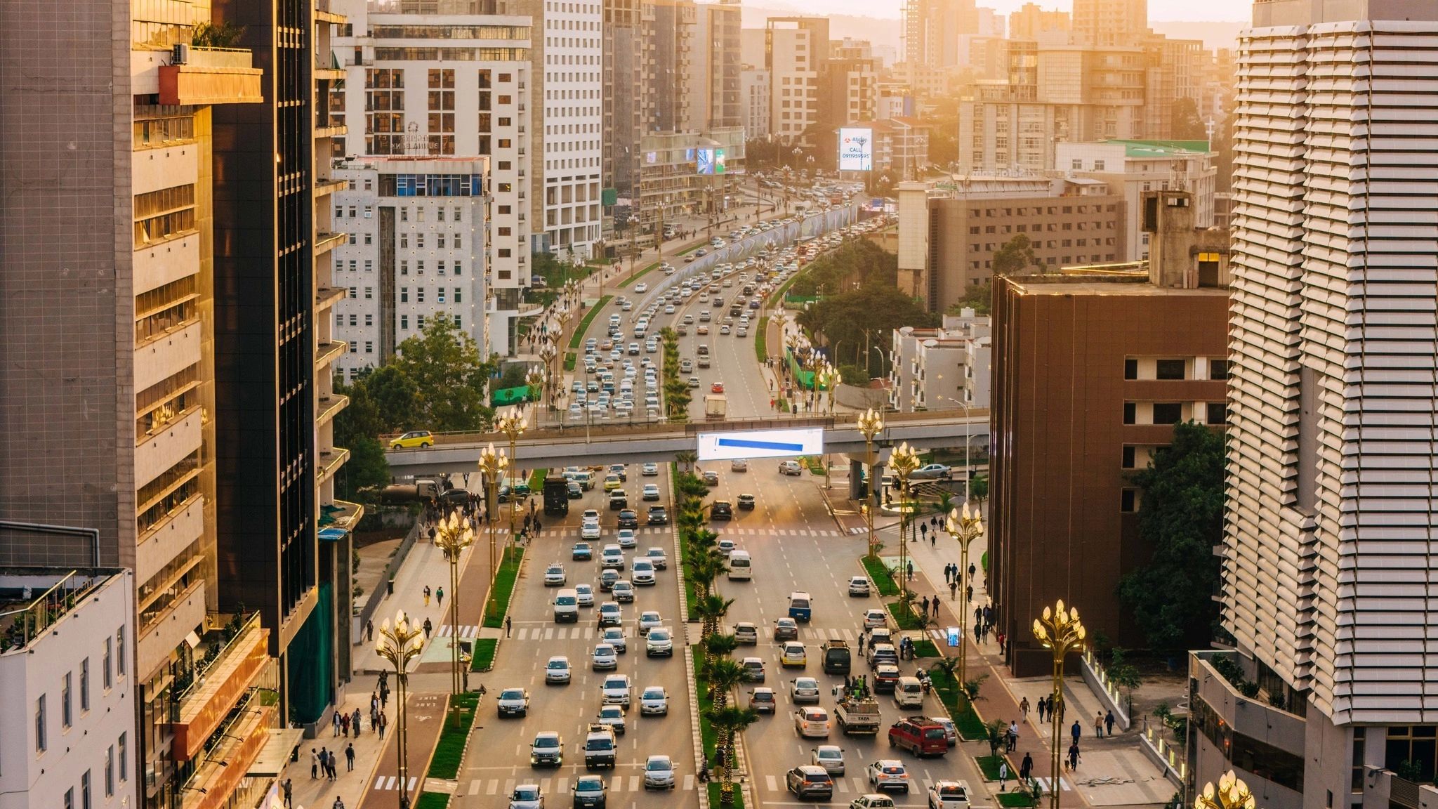 Join Our Team at Tsegamlak Solomon & Associates