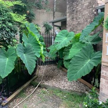 Tenacious Faith for Life - Christian, Faith, Christian, Jesus