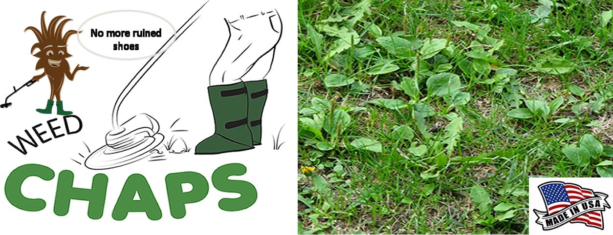WEED CHAPS - Weed Eater, Leg Protection