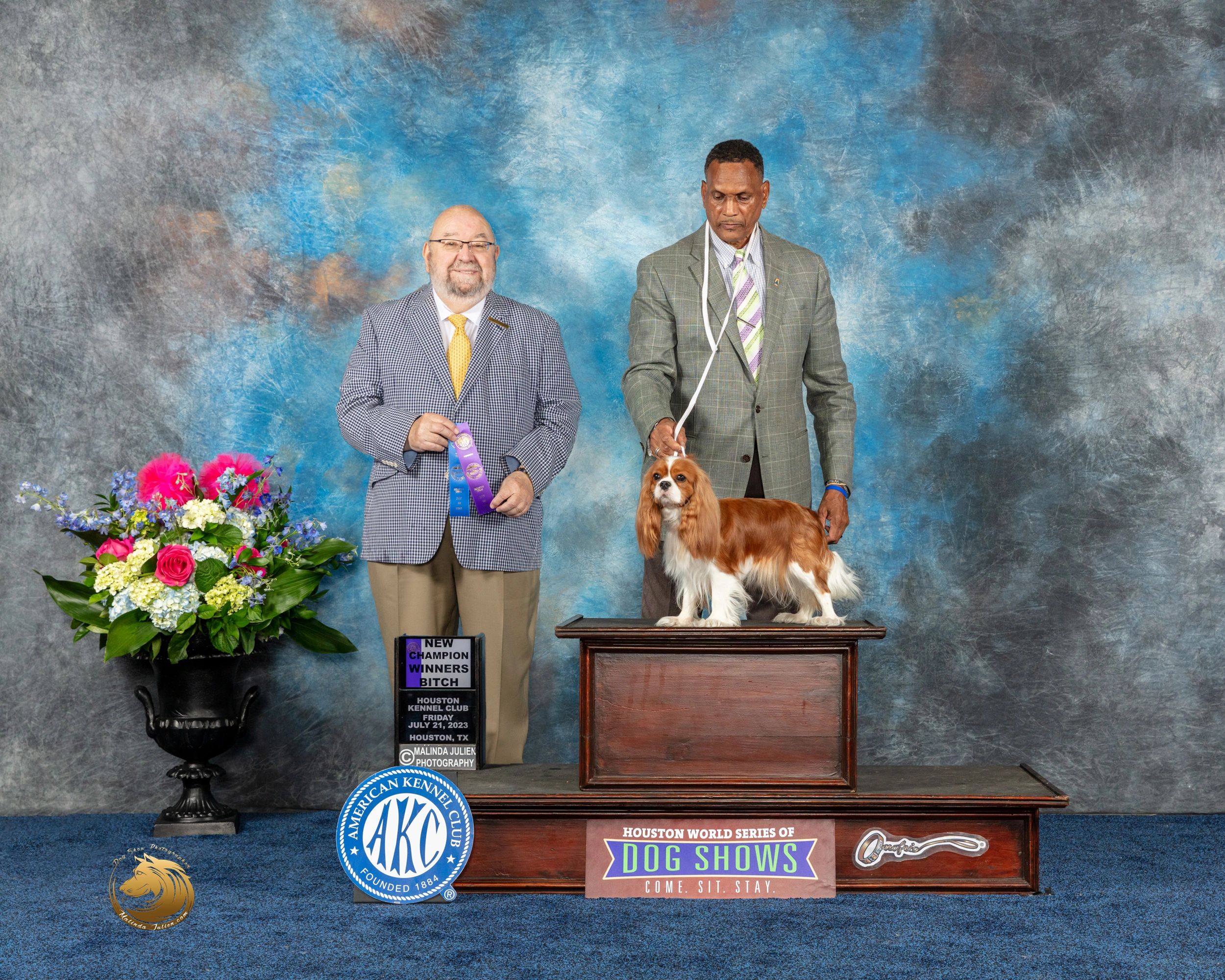 HOME [katy-cavaliers.com]