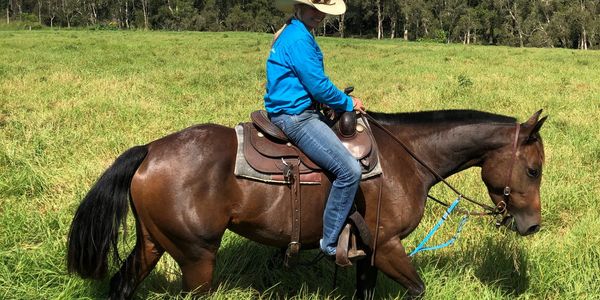 PQH Horsemanship - Home