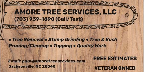Tree Removal Service in My Area - Amore Tree Services LLC